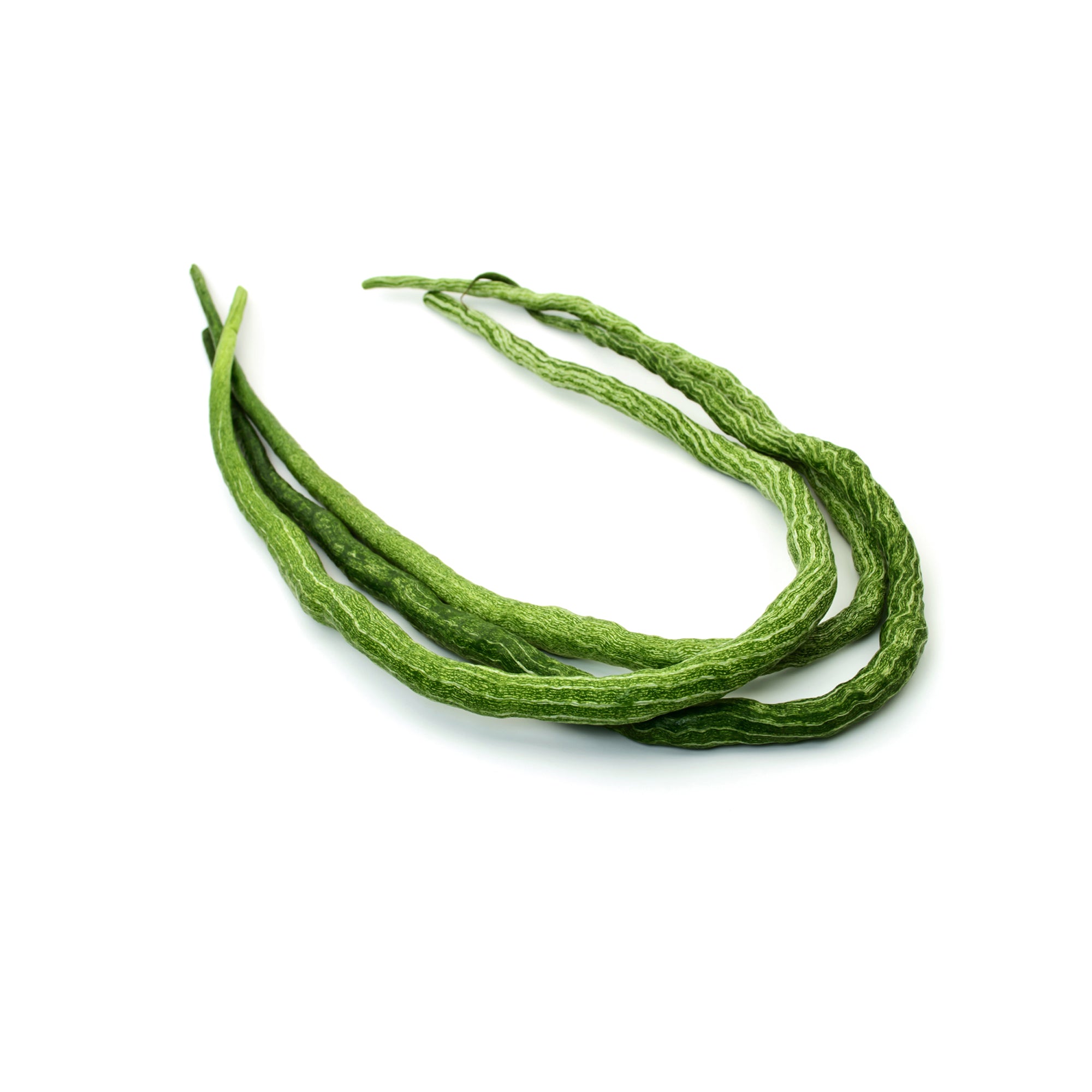 Organic snake gourd – Purity Prayag